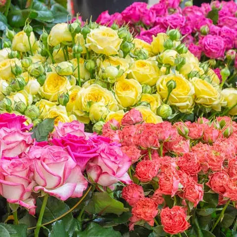 Roses: Their Secret Language and Celebrity Inspired Names - Flora ...