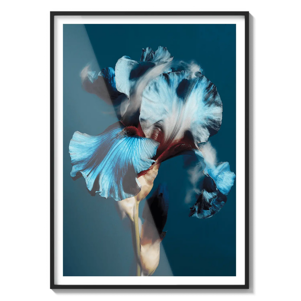 Shop Wall Art | Unique Decor for Your Home & Office – Flora Queen