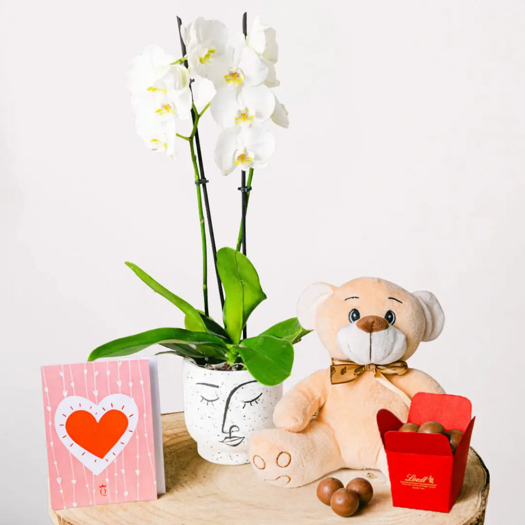 Flower Bouquets for Every Occasion | Fresh Delivery – Flora Queen